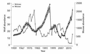 Simulating Predator Prey Relationships – Part 1 – Building Rainbows